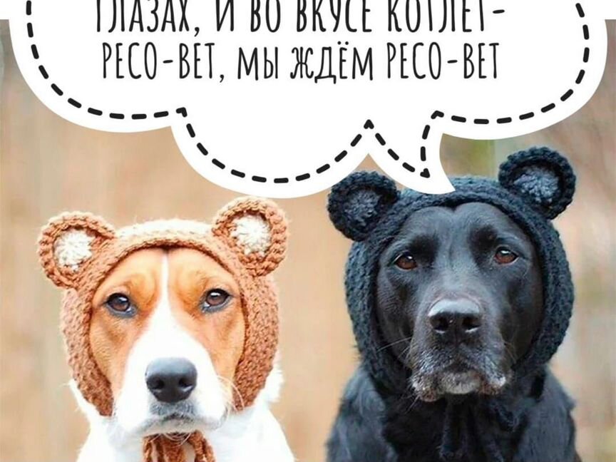 Телемедицина для питомцев