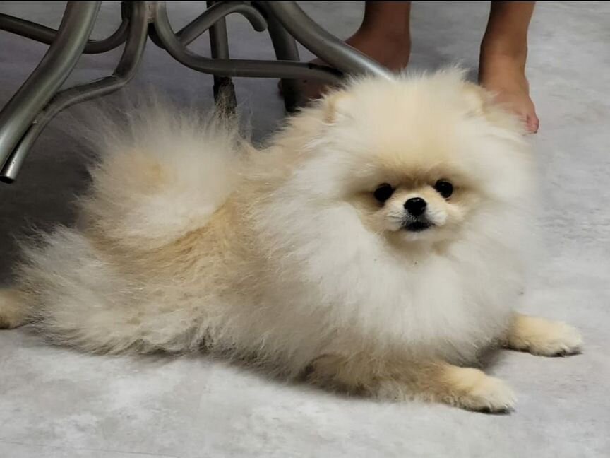 Кремовые детки