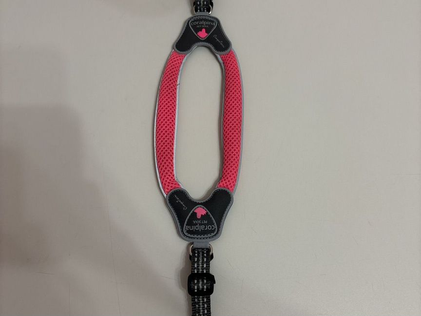 Шлейка для маленькой собаки coralpina