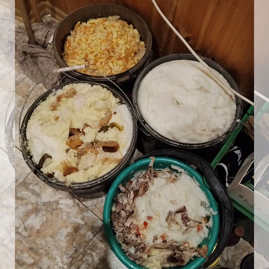 Пищевые отходы