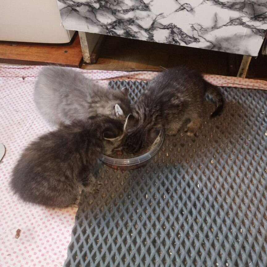 Малыши ждут своих мам и пап