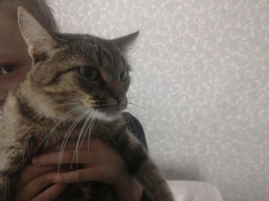 Европейская