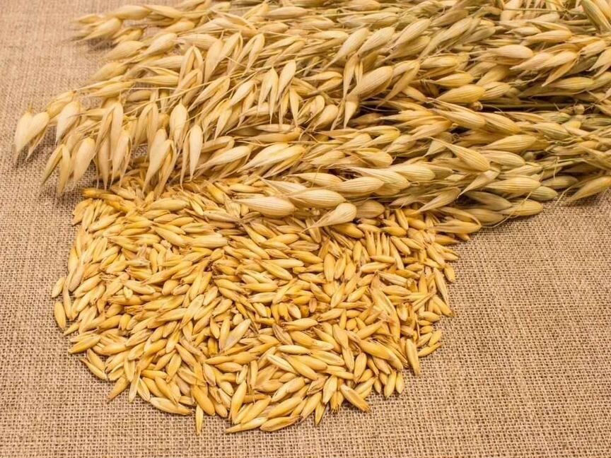 Овес, ячмень