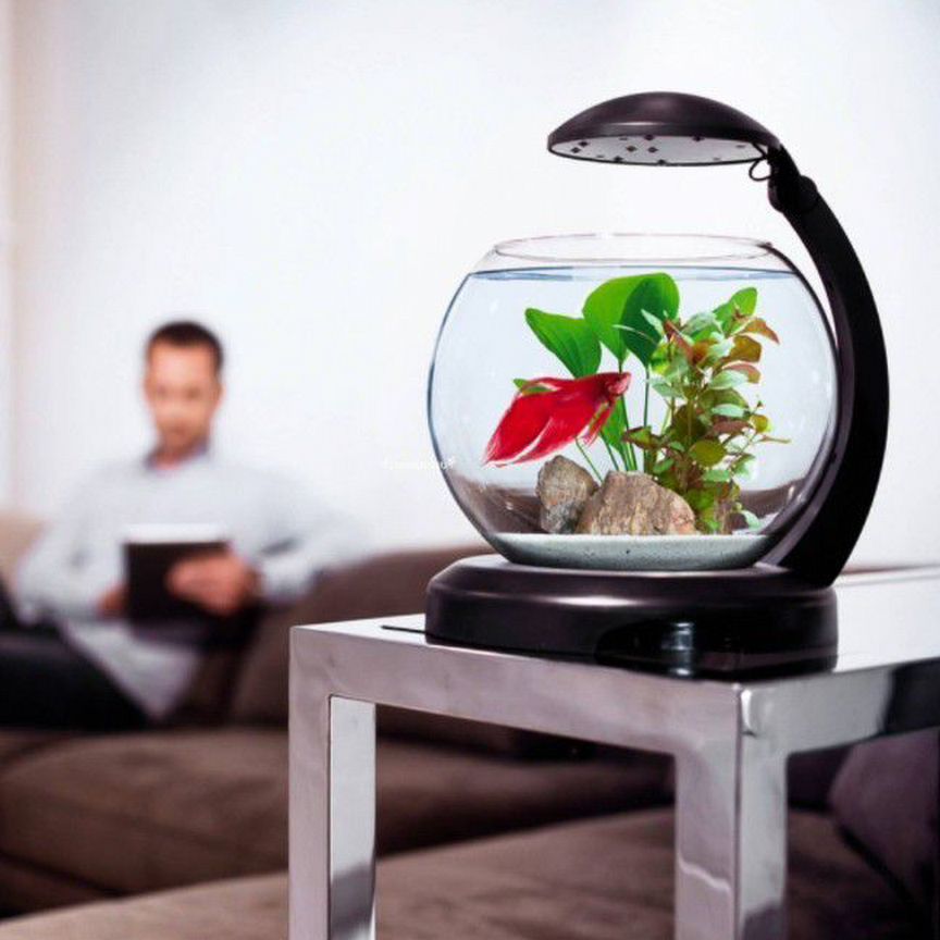Аквариум Cascade Globe 6,8L