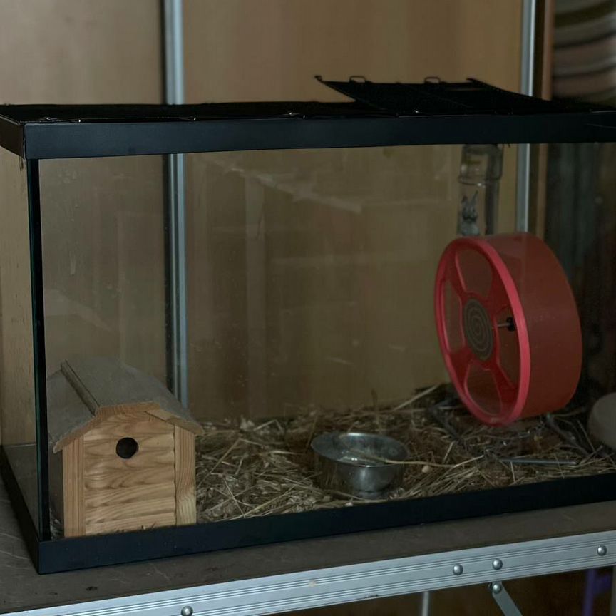 Аквариум для мелких домашних зверей