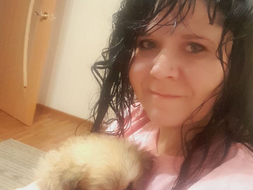 Померанский шпиц