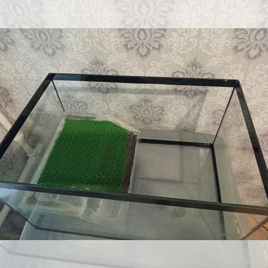 Аквариум для красноухой черепахи