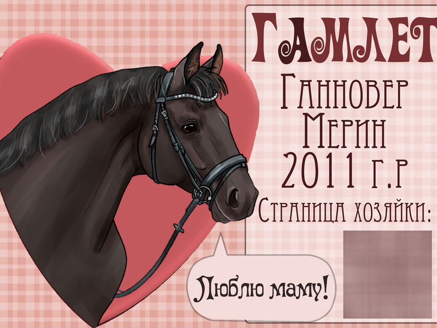 Таблички на денник лошади Пластик пвх