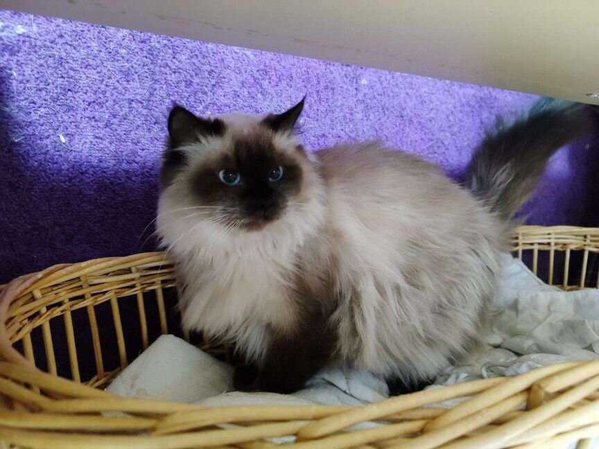 Тайна из Лисичанска. Спасенная от войны