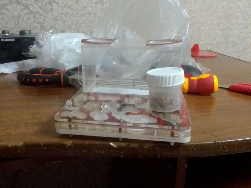 Муравьиная ферма без муравьев