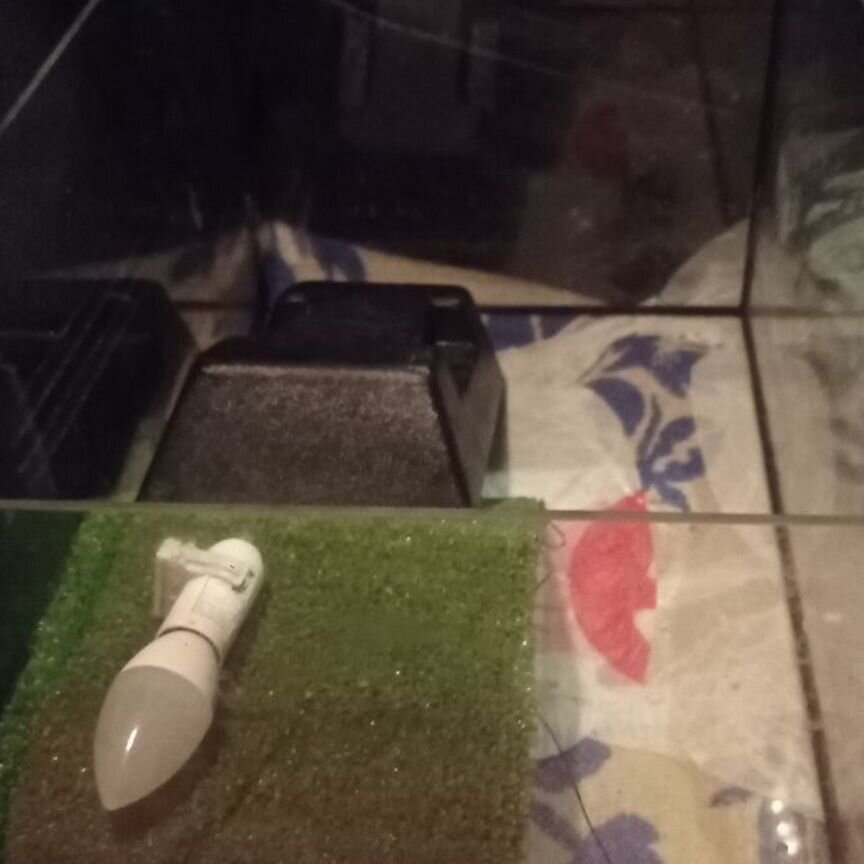 Акватеррариум для красноухой черепахи