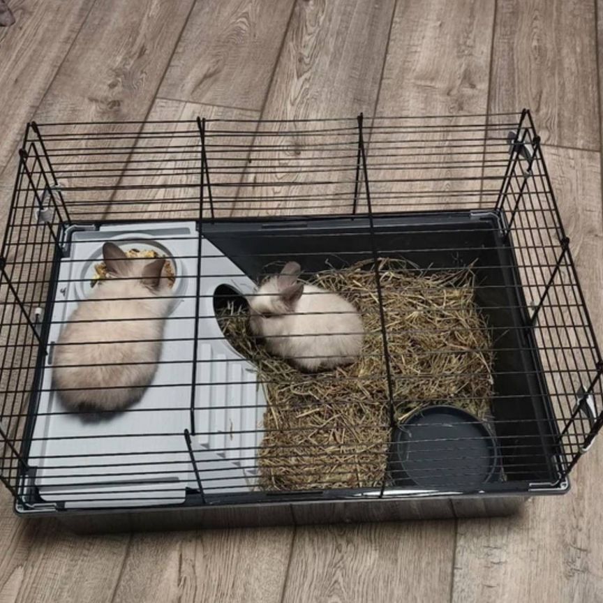 Клетка для грызунов 58/40/31