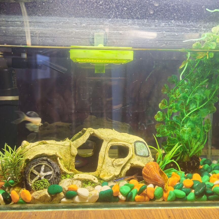 Аквариум на 11л,с рыбками