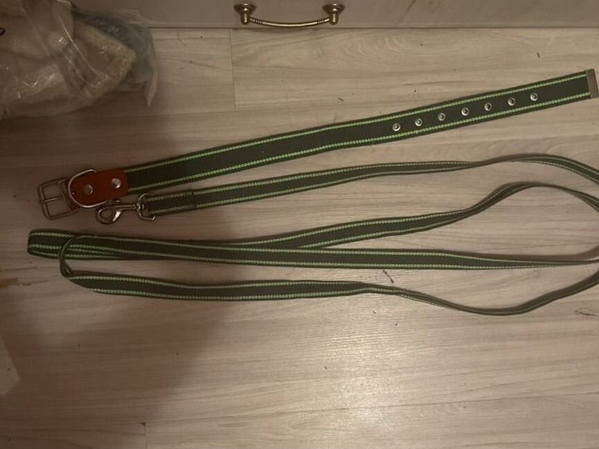 Ошейник и поводок