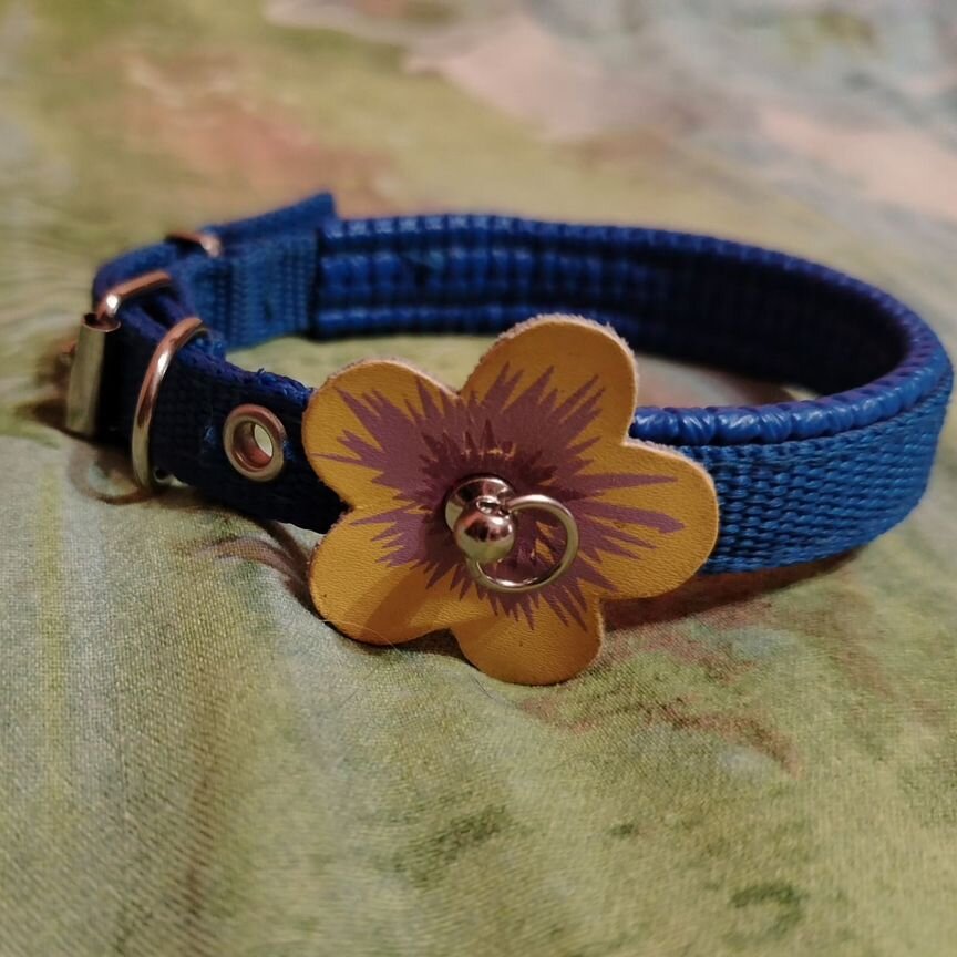 Ошейник для собак