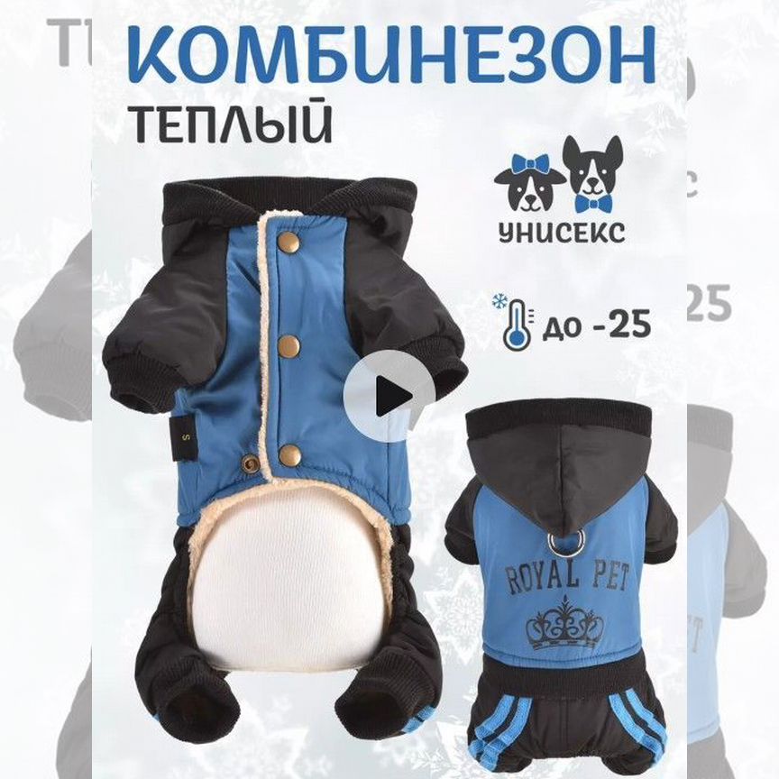 Одежда для собак