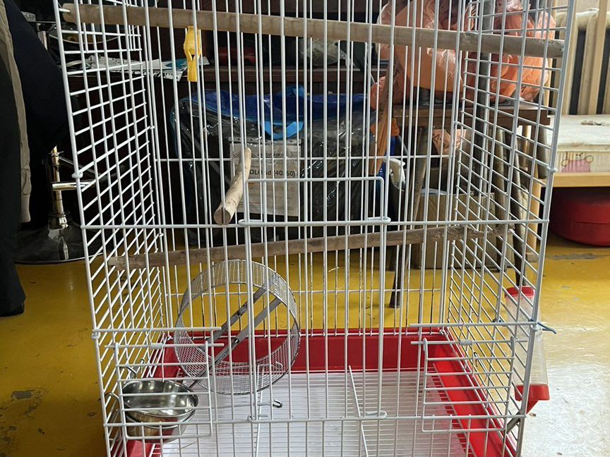 Клетка большая