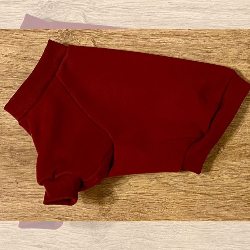 Одежда для басенджи