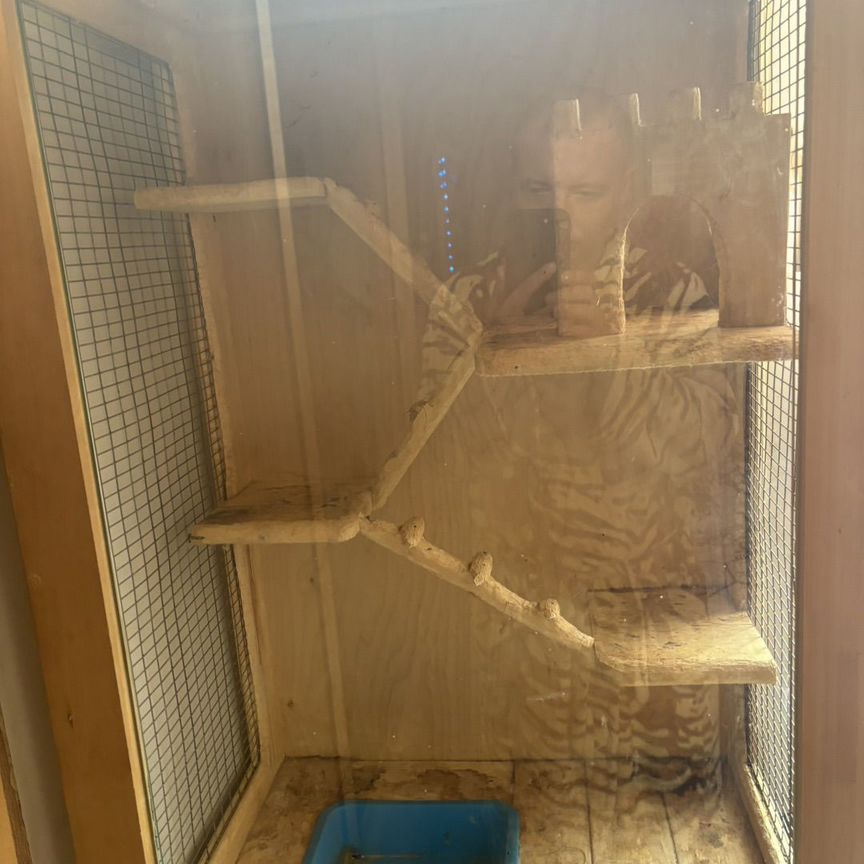 Ветрмна клетка для шиншил