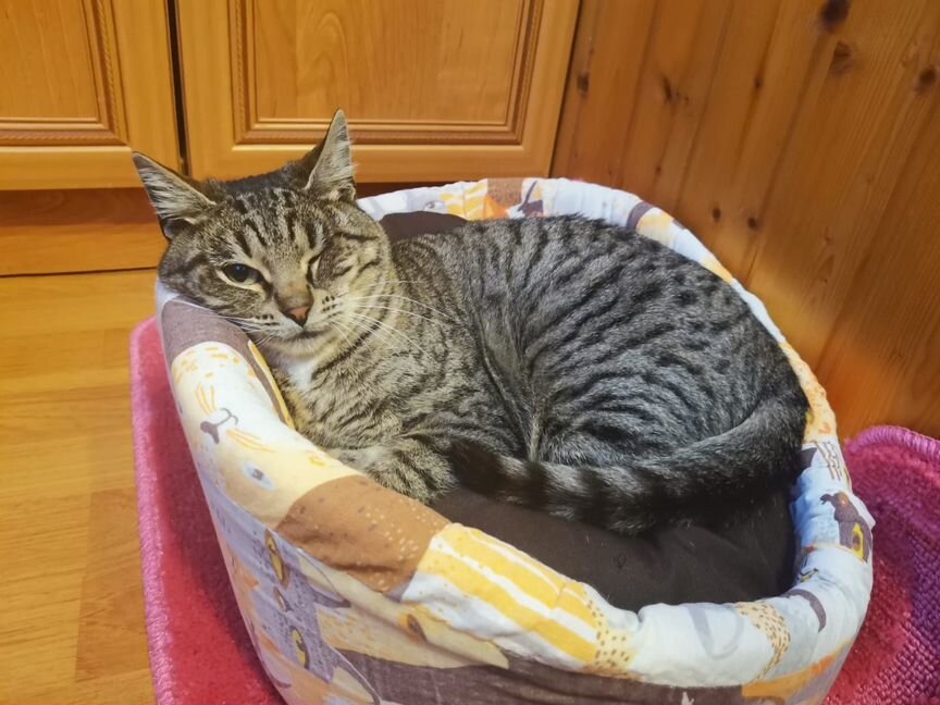 Подарите ей счастье