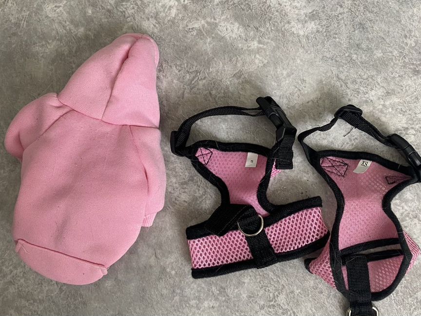 Кофта И шлейка для соьак маленьких пород