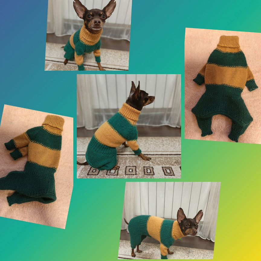 Одежда для маленьких собак