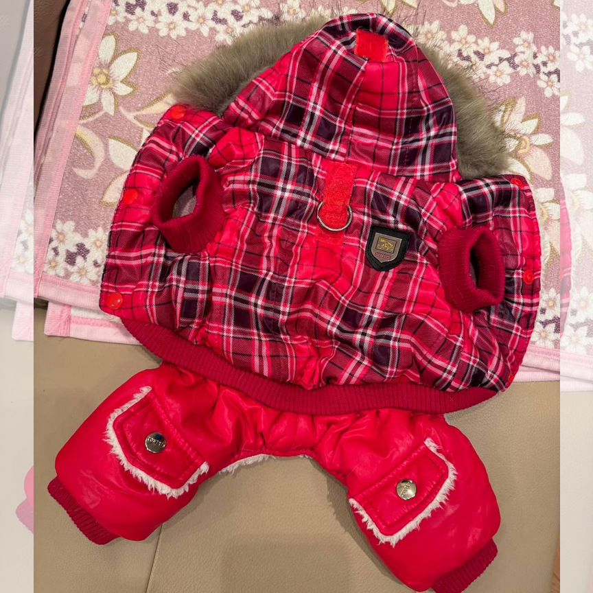 Одежда для собак мелких пород