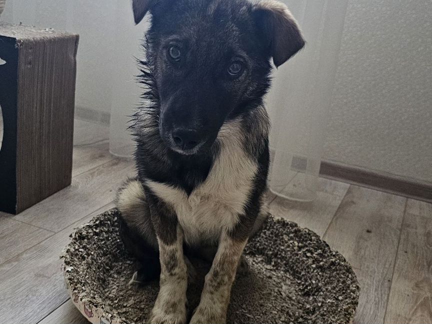 Нюша, 4 месяца