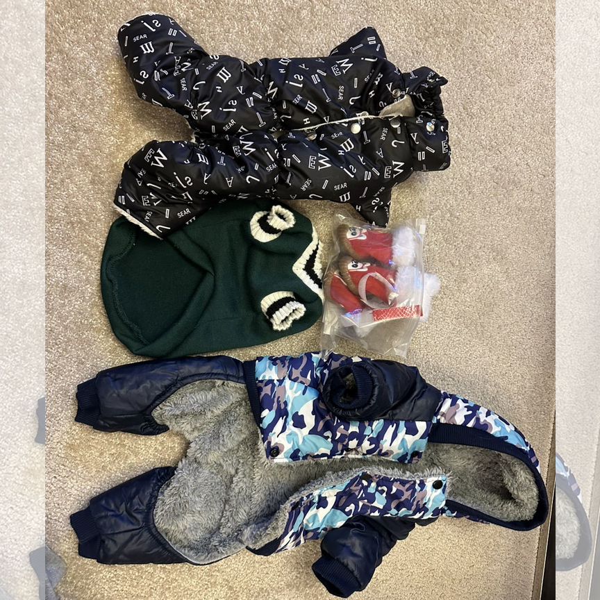 Вещи для щенка