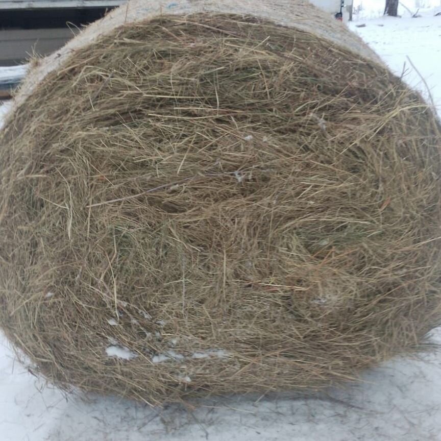 Луговое сено