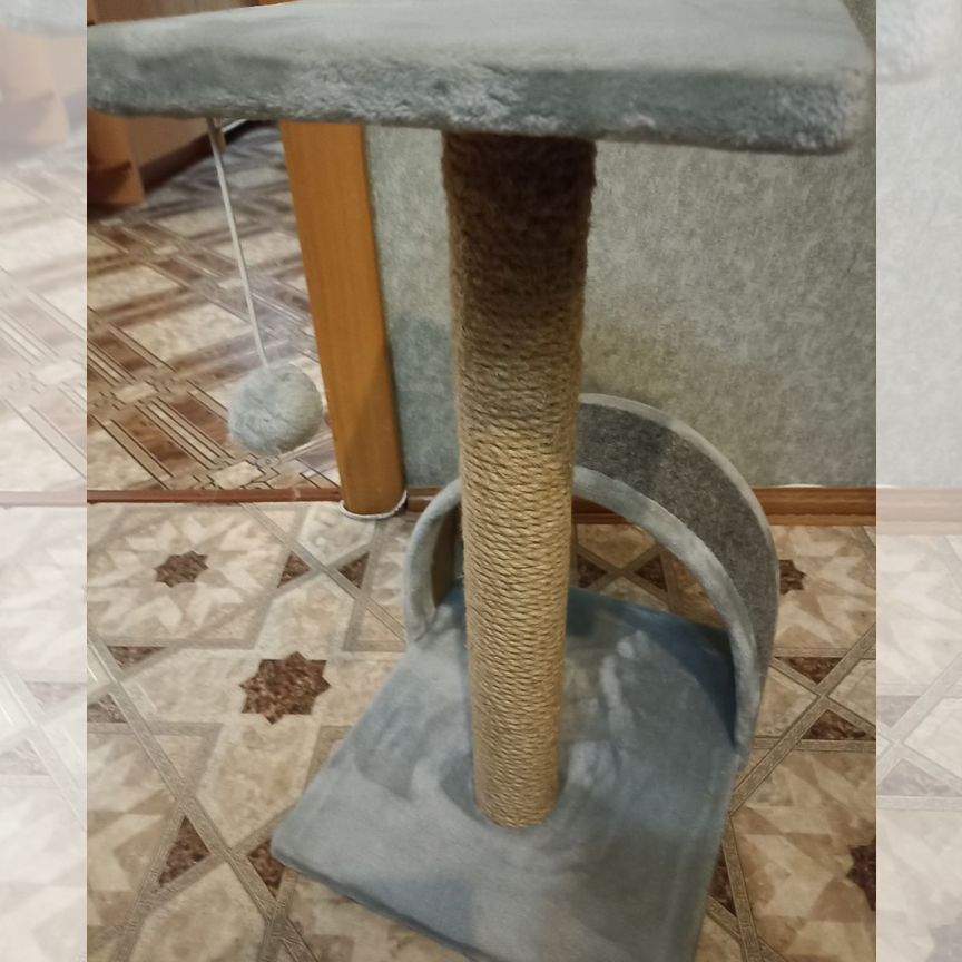 Когтеточка