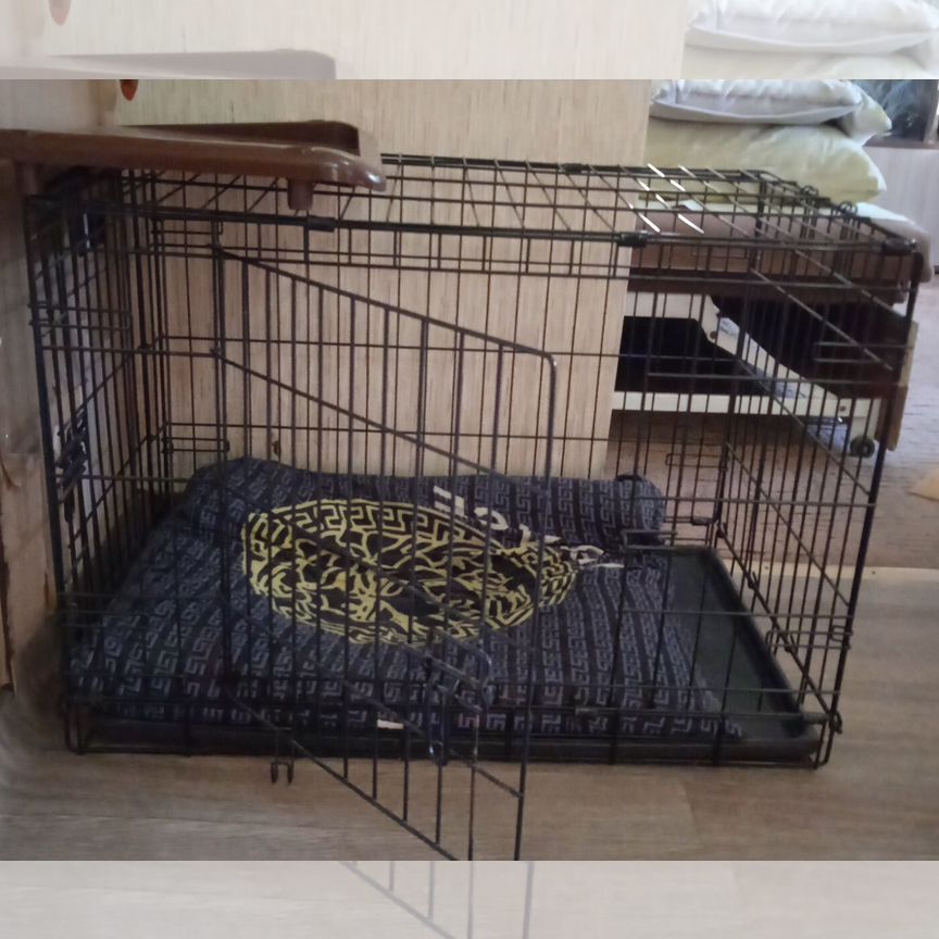 Клетка для собак