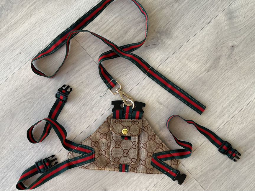 Поводок и Шлейка Gucci для кошек и собак