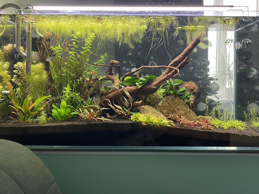 Аквариум 200 литров