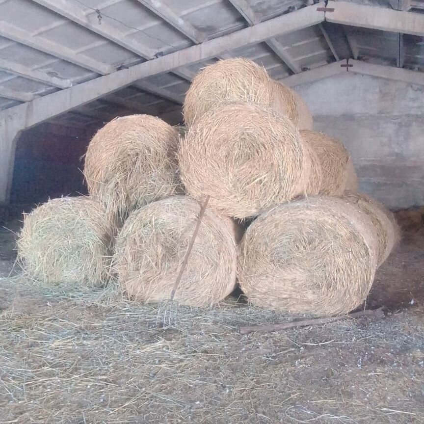 Сено судака в рулонах по 400 кг