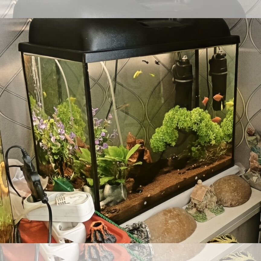 Аквариум 50 литров "под ключ"