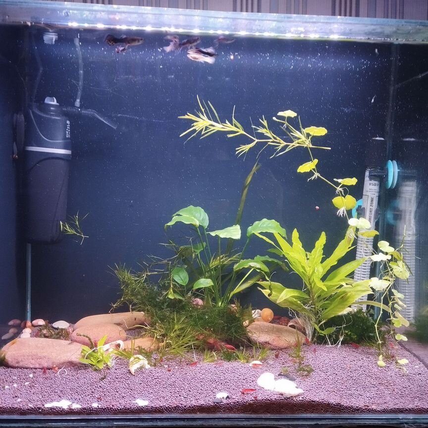 Аквариум в сборе