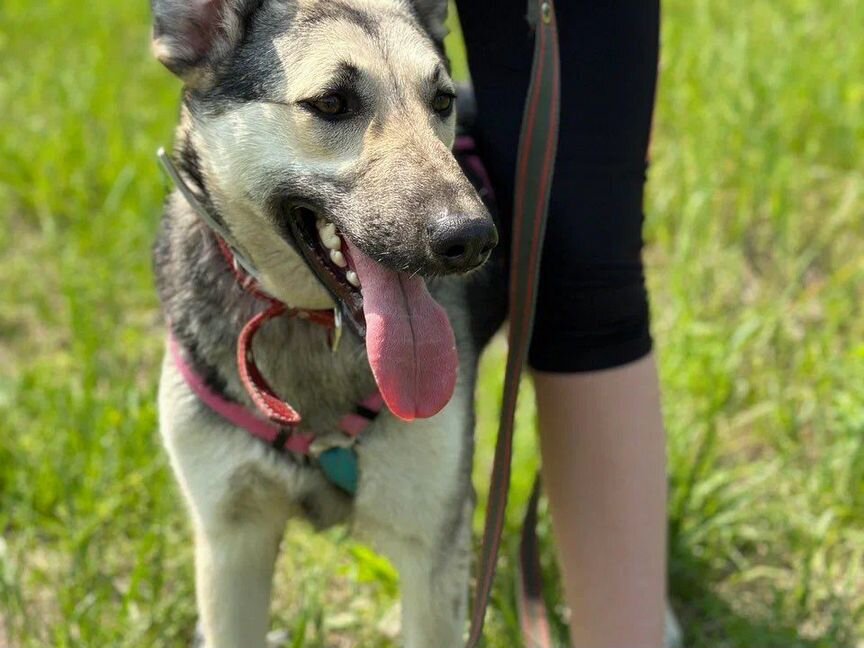 Обнимательная Дженни