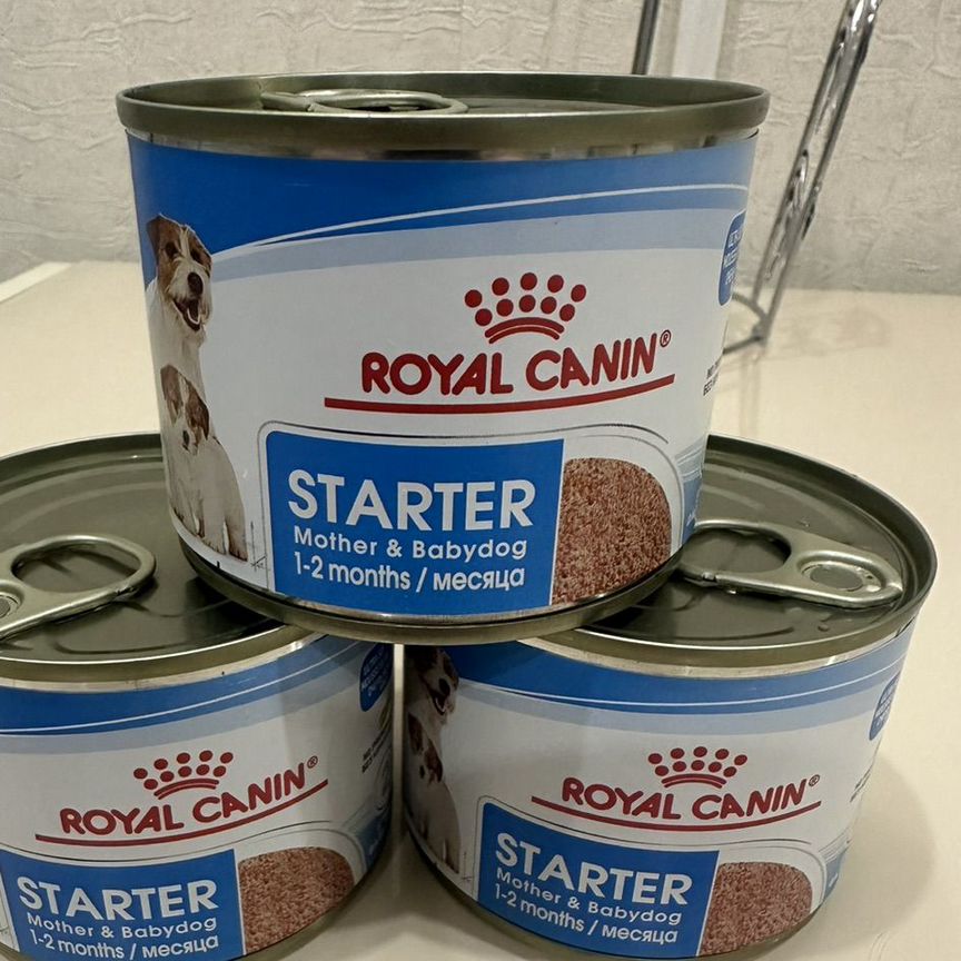 Royal canin паштет. Стартер