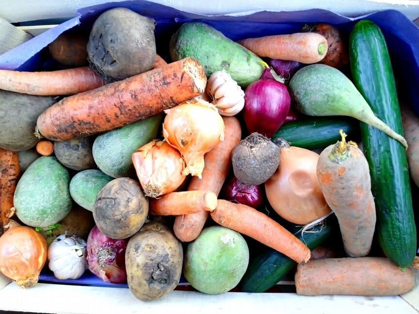 Продукты для животных: Мясо хлеб овощи фрукты