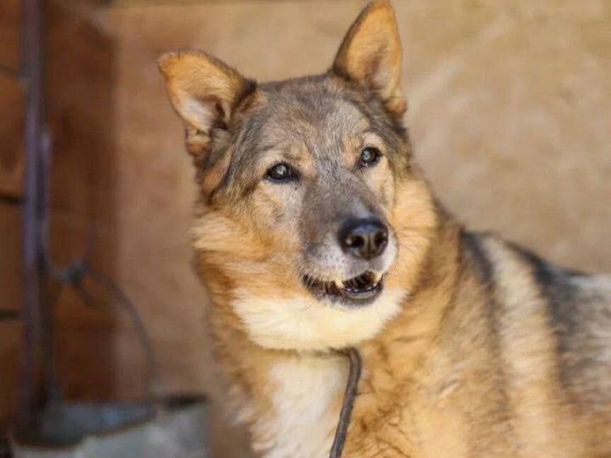 Вся жизнь в заточении