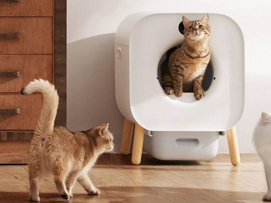 Кошачий туалет Xiaomi