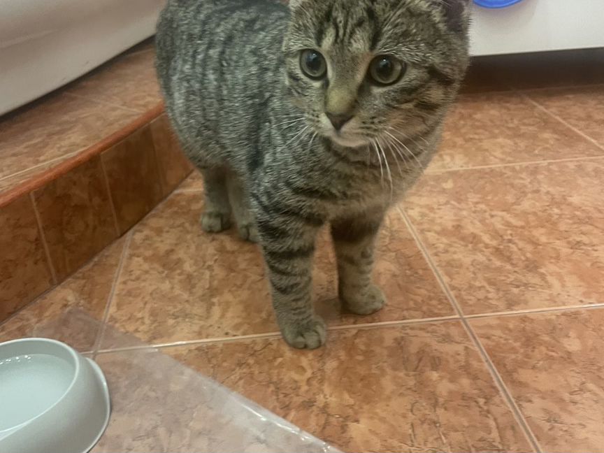 Мишелька 4 мес