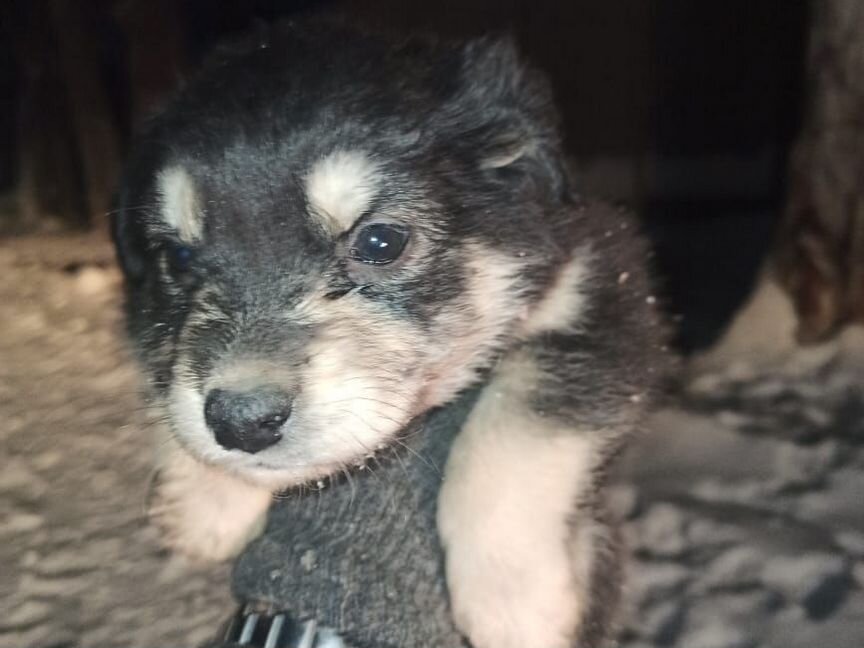 Малышка осталась одна