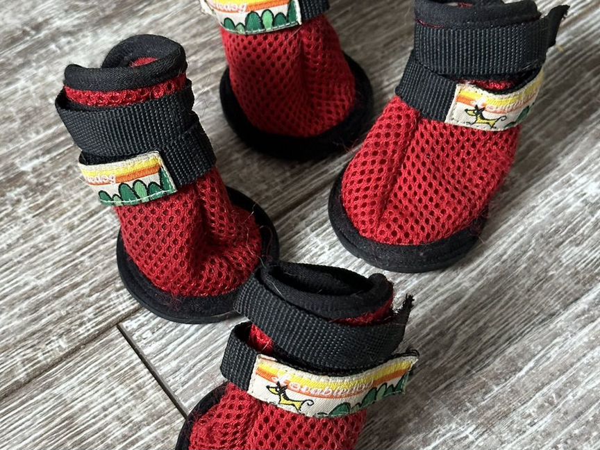 Тапочки для собак