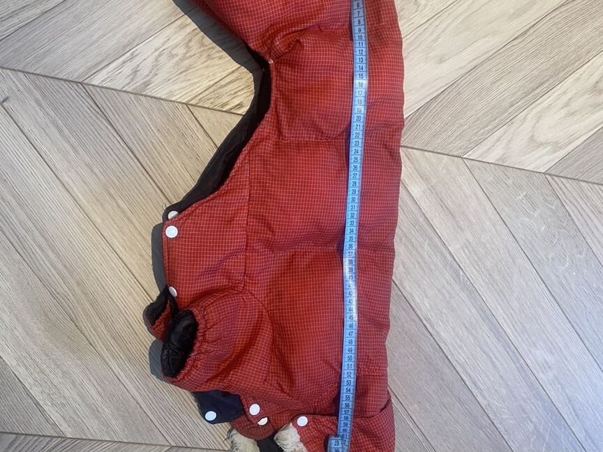 Комбинезон для собаки отдам