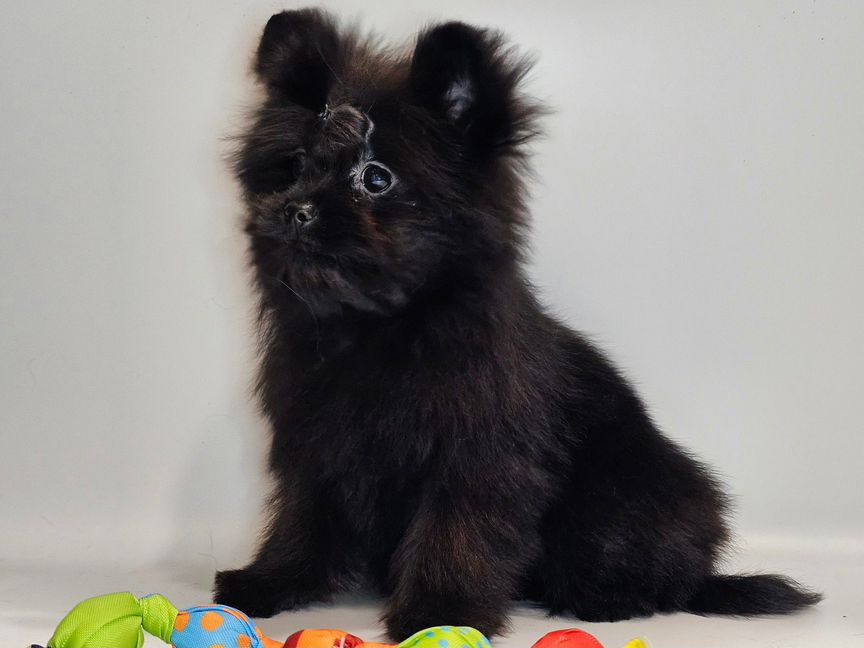 Девочка-красоточка