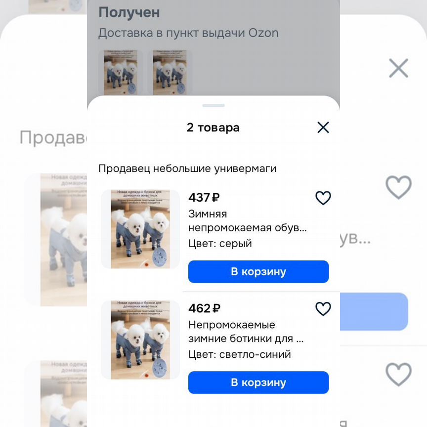 Одежда для животных