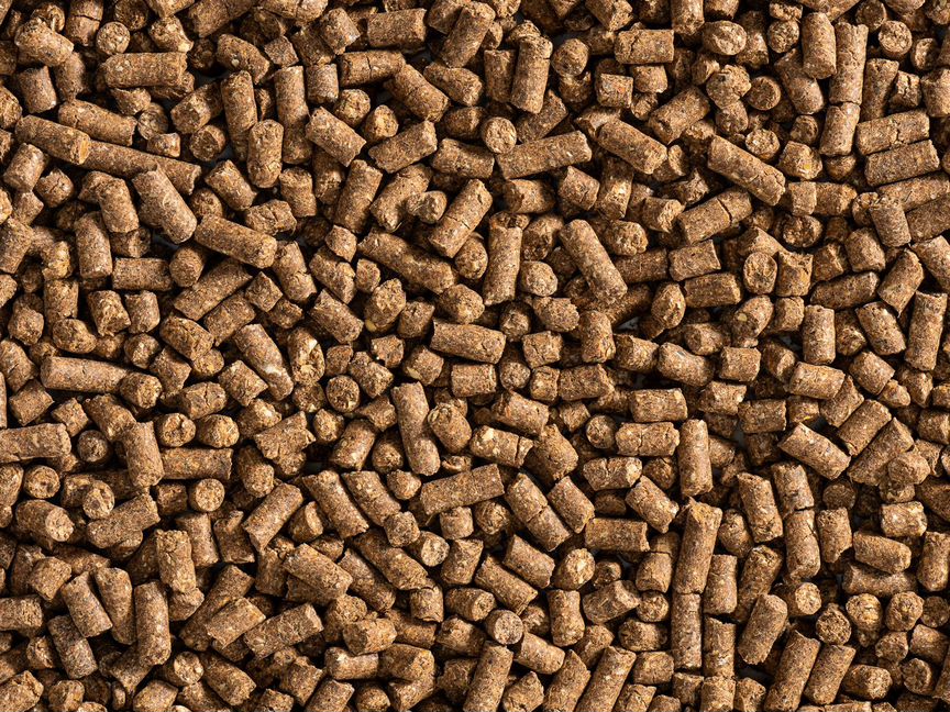 Корм для живой рыбы на пруд