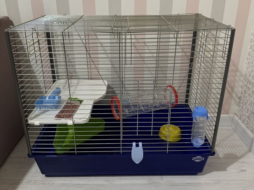Клетка